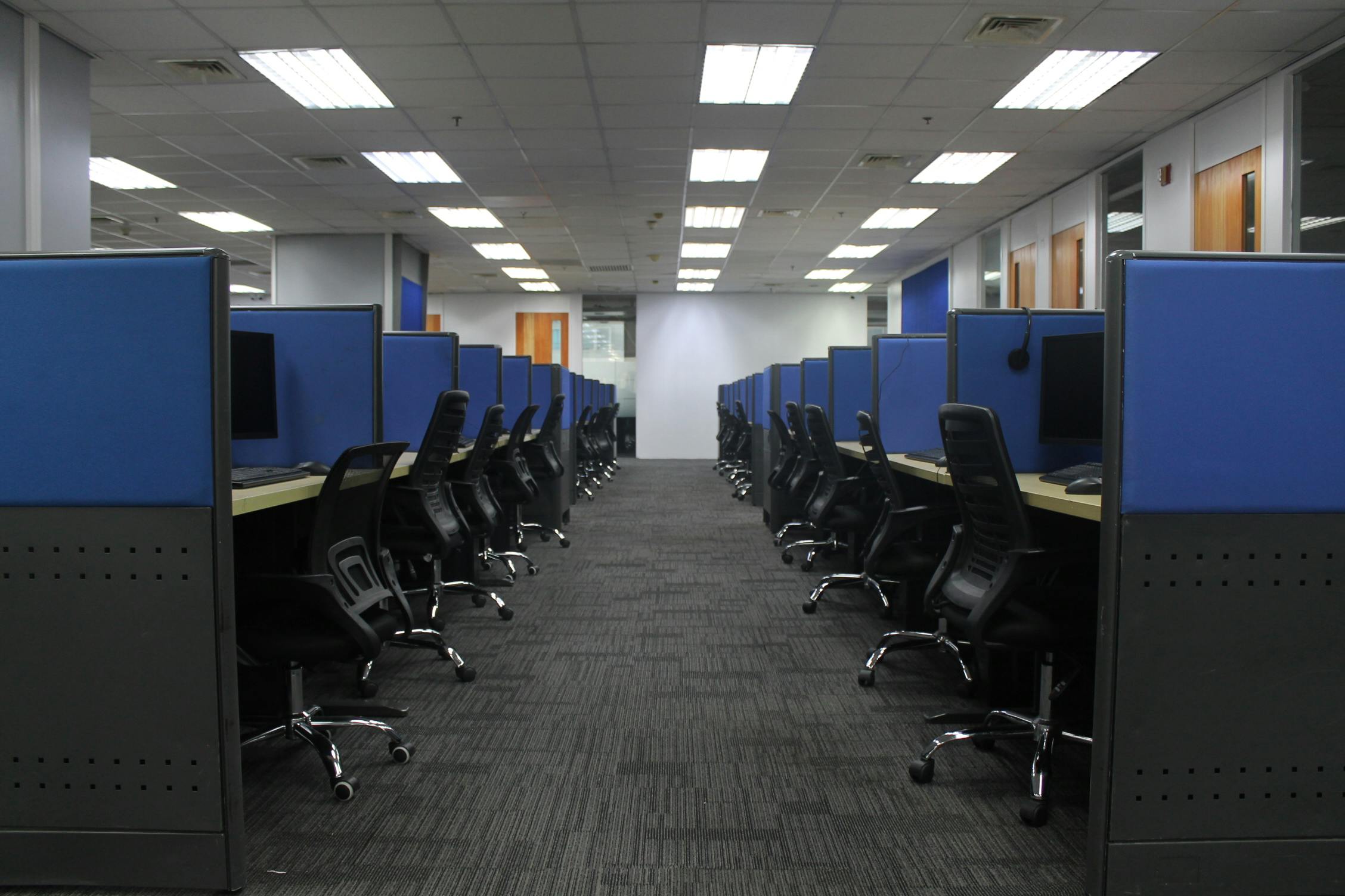 Openings at Intelassist